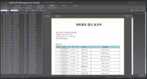 네트워크 관리 시스템(NMS) » soltech
